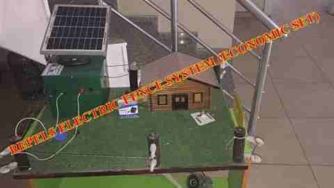get rid of rock hyrax electric solar fence against wild boar